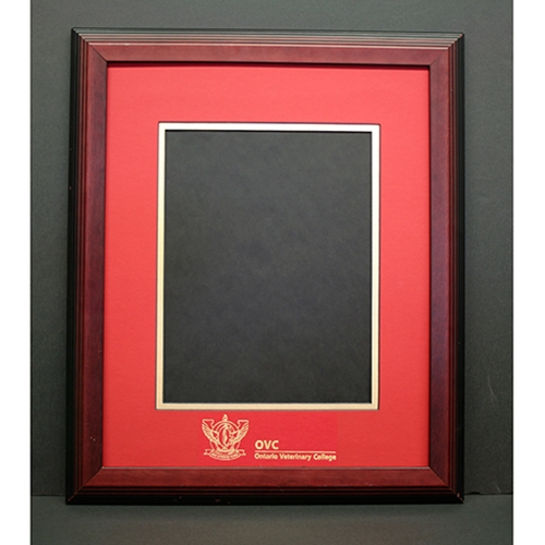 University of Guelph Bookstore - OVC Linear Degree Frame