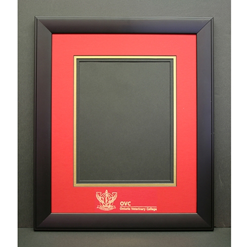 University of Guelph Bookstore - OVC Infused Black Degree Frame
